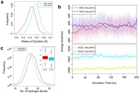 The Radius Of Gyration R G A And Hydrogen Bonds C Distribution Of Download Scientific
