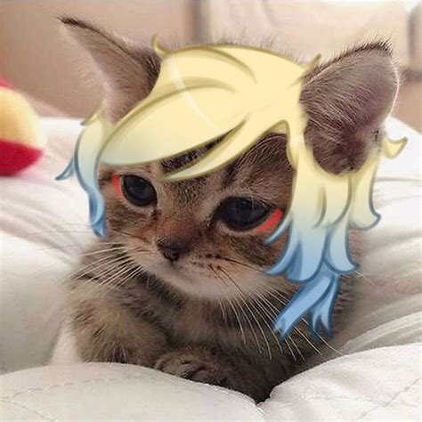 Michael Kaiser Anime Films Anime Chibi