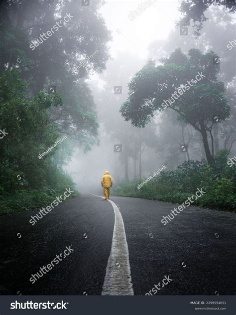 Man Walking On Foggy Forest Path Stock Photo Shutterstock