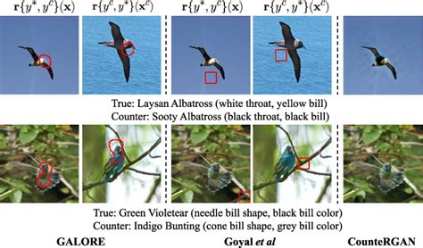 figure 15 from a generalized explanation framework for visualization of