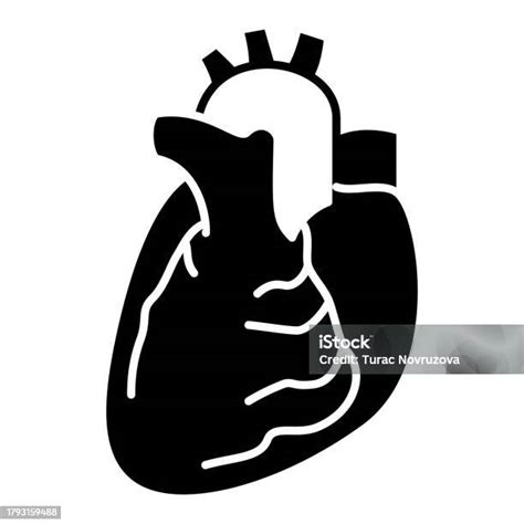 심근 경색 솔리드 아이콘 인간 질병 개념 흰색 배경에 관상 동맥 심장 질환 기호 허혈성 심장 질환 아이콘 스타일과 웹 벡터 그래픽 0명에 대한 스톡 벡터 아트 및 기타