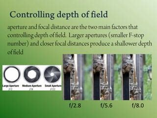 Depth Of Field PPTX
