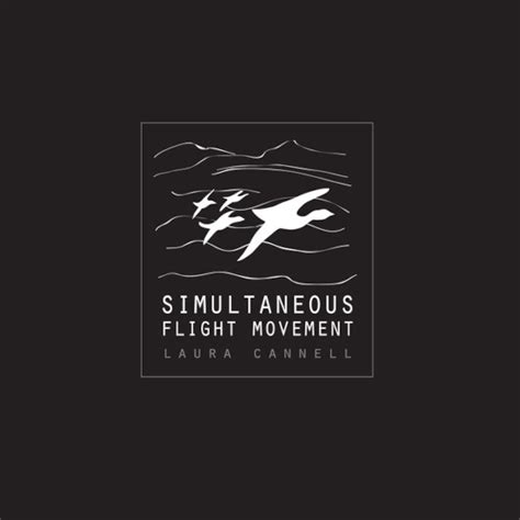 Simultaneous Flight Movement Cd Logo Fiasco