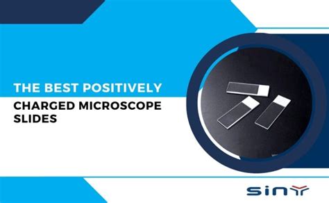 Best Positively Charged Microscope Slides Siny Medical