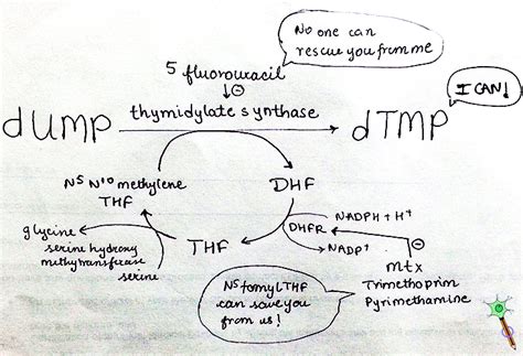 Medicowesome Dump To Dtmp Reaction