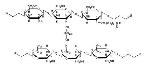 Structure Of Cs Cross Linked With Glutaraldehyde Ga Through Schiffs