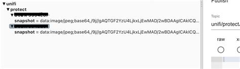No More Mqtt Motion Event Sent Issue Hjdhjd Homebridge Unifi Protect GitHub