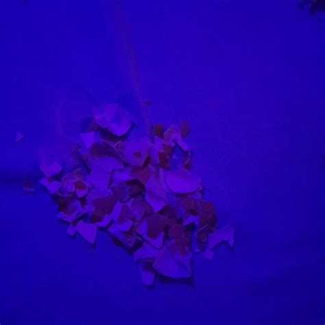 Create Comics Meme Bouquet Of Butterflies People Purple Backgrounds Comics Meme