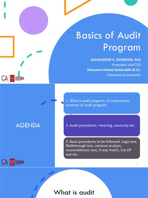 Basics Of Audit Program Pdf Audit Financial Audit