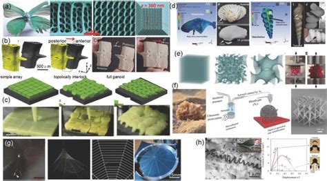 仿生金属结构的激光增材制造 2 中国3d打印网