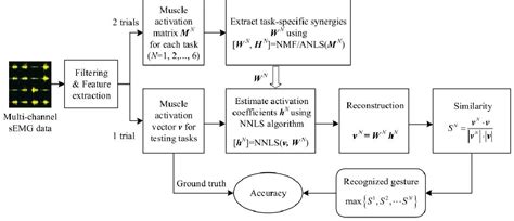 Figure 8 From Muscle Synergy Analysis For Gesture Recognition Based On Semg Images And Shapley