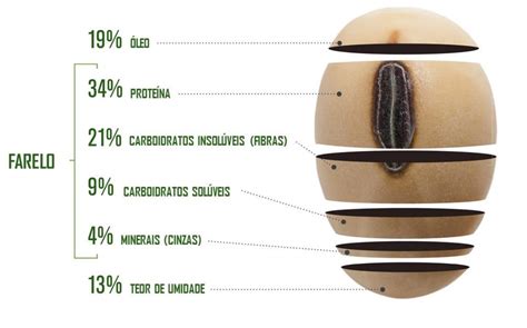 Subprodutos Da Soja Conheça Os Destinos E Usos Da Soja