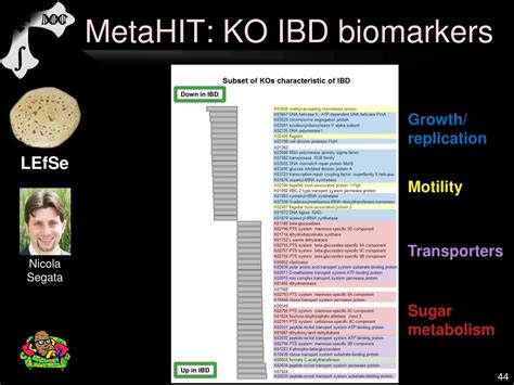 Ppt Scalable Data Mining For Functional Genomics And Metagenomics
