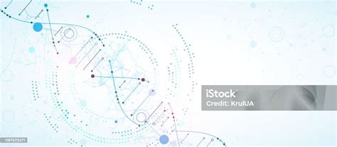 과학 템플릿 벽지 또는 Dna 분자가있는 배너 벡터 그림입니다 Dna에 대한 스톡 벡터 아트 및 기타 이미지 Dna 개념 개성 개념 Istock