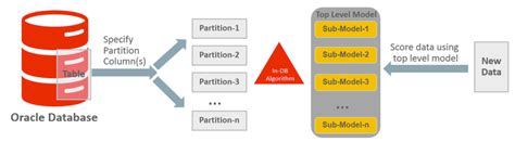 Partitioned Models Oracle Machine Learning Oml « Oralytics