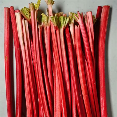 Rhubarb