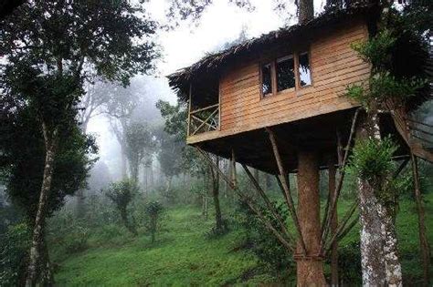 Munnar Tree House Stay Wigrasa