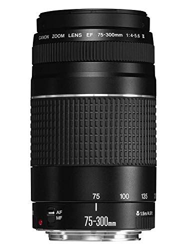 Decoding Lens Measurements What Does MM Mean For Your Lens Focal Crafters