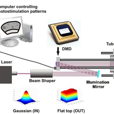 Principal Of Digital Micromirror Device Dmd Function And Integration Download Scientific