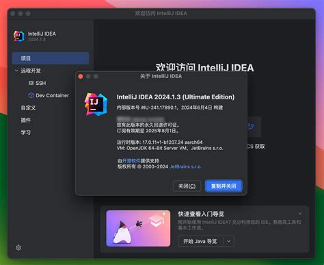 Intellij Idea For Mac V202413 Java语言开发集成环境 Csdn博客