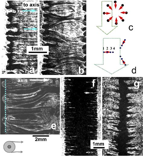 A B Implosion Bubbles In An Al 8 Wire Cylindrical Array Taken 22 And Download Scientific