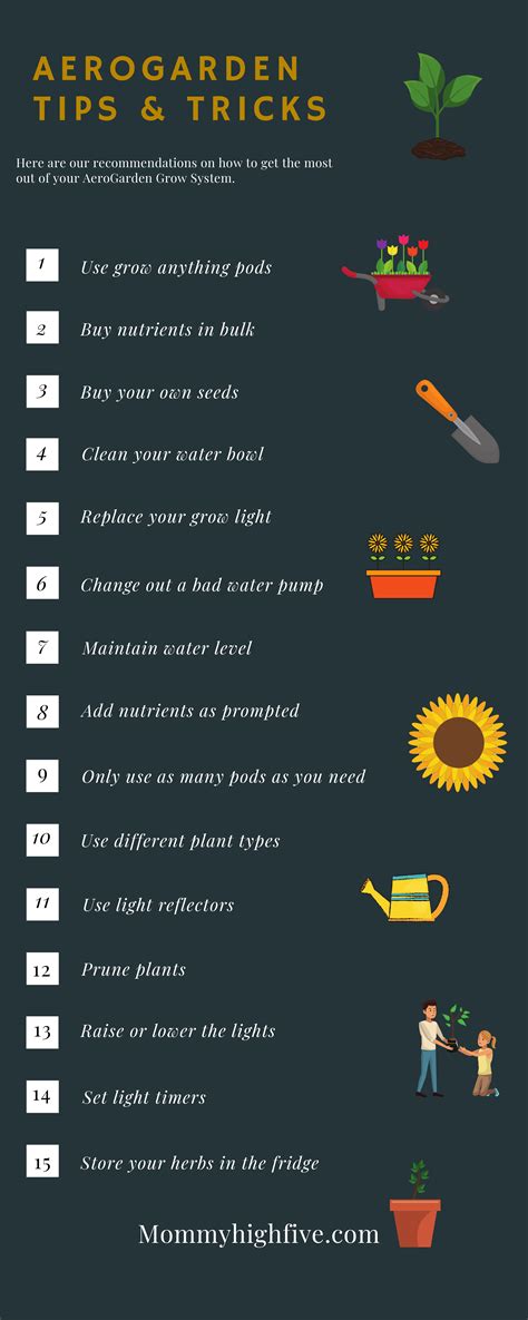 15 Helpful Aerogarden Tips And Tricks Mommy High Five