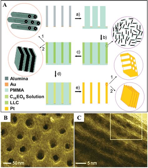 A Schematic Illustration Of The Preparation Of Hierarchically Porous Download Scientific