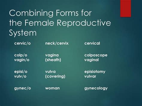 Female Reproductive System Ppt Download