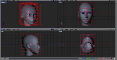 Wireframe Just Mesh Own Mesh In The Outliner Modeling Blender Artists Community