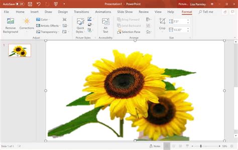 How To Remove Background In PowerPoint Course Method