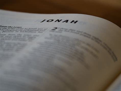 Perception Vs Judgement Full Comparison Guide