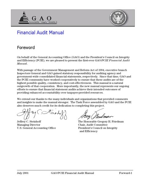 Financial Internal Audit Pdf Internal Control Financial Audit