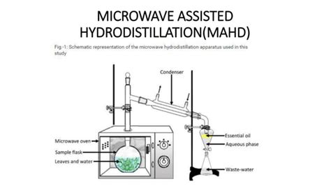 Extraction Of Aromatic Compounds From Spices Pdf Perfume And
