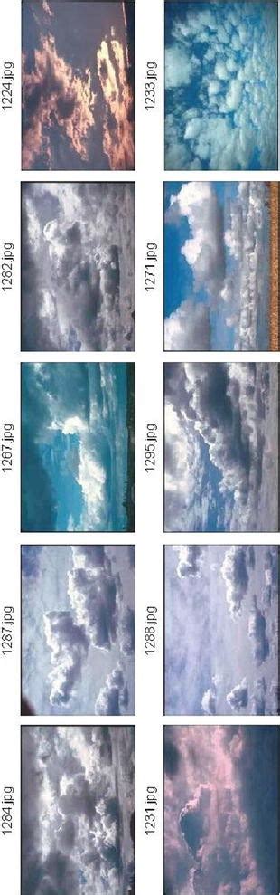 2 Query Results Of Proposed Method On Corel 5k Database Top Left Download Scientific Diagram