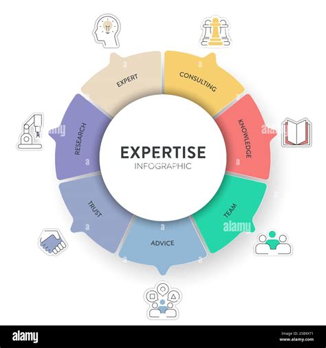 Expertise Framework Infographic Diagram Chart Banner With Illustration