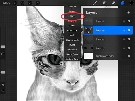 How To Copy And Paste In Procreate The Easy Way Adventures With Art