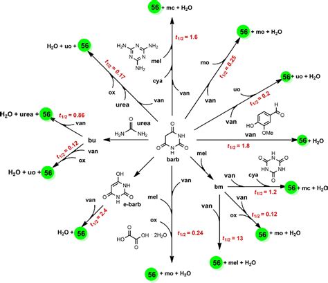 modifications of barb and employed reaction conditions including the
