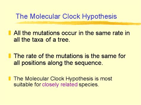 Molecular Clock Hypothesis