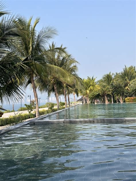 나트랑 아미아나리조트 총 정리35살 아기랑 네이버 블로그