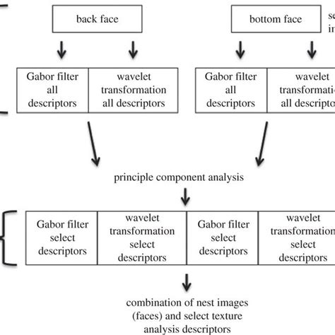 The Process Of Refining The Texture Descriptors Considered In A Download Scientific Diagram