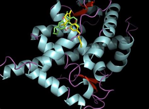 Combined Binding Pose Of Cbd And Thc With 2am9 Download Scientific
