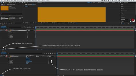 not showing up scale position rotation and opacit adobe product