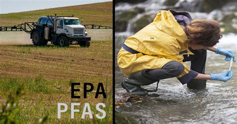 From Big Chem To Your Table Pfas Are Being Sprayed On Our Food And No