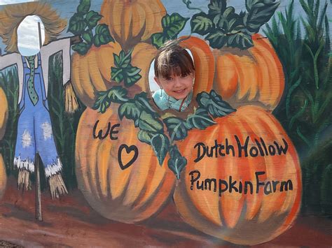 Dutch Hollow Farms Pumpkin Patch • Cheers With Chelsea