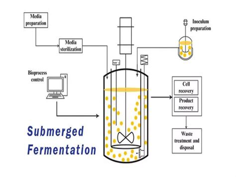 Surface And Submerged Fermentation Ppt Chemistry Science