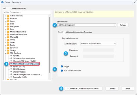 sql server sql client simego docs
