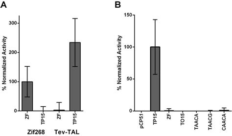 Figure 1 1 From Examining The Nucleotide Preference Of The Linker Domain In Engineered Tev