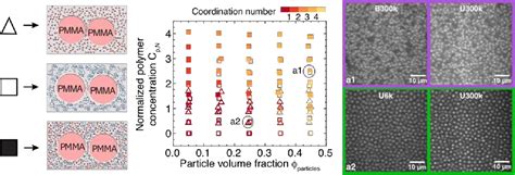Figure 1 From Phase Behavior Of Colloid Polymer Mixtures With Unary Or Binary Depletants