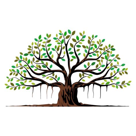 Banyan Tree Images Clip Art