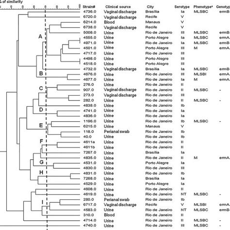 Dendrogram Constructed By Similarity And Clustering Analysis Using The